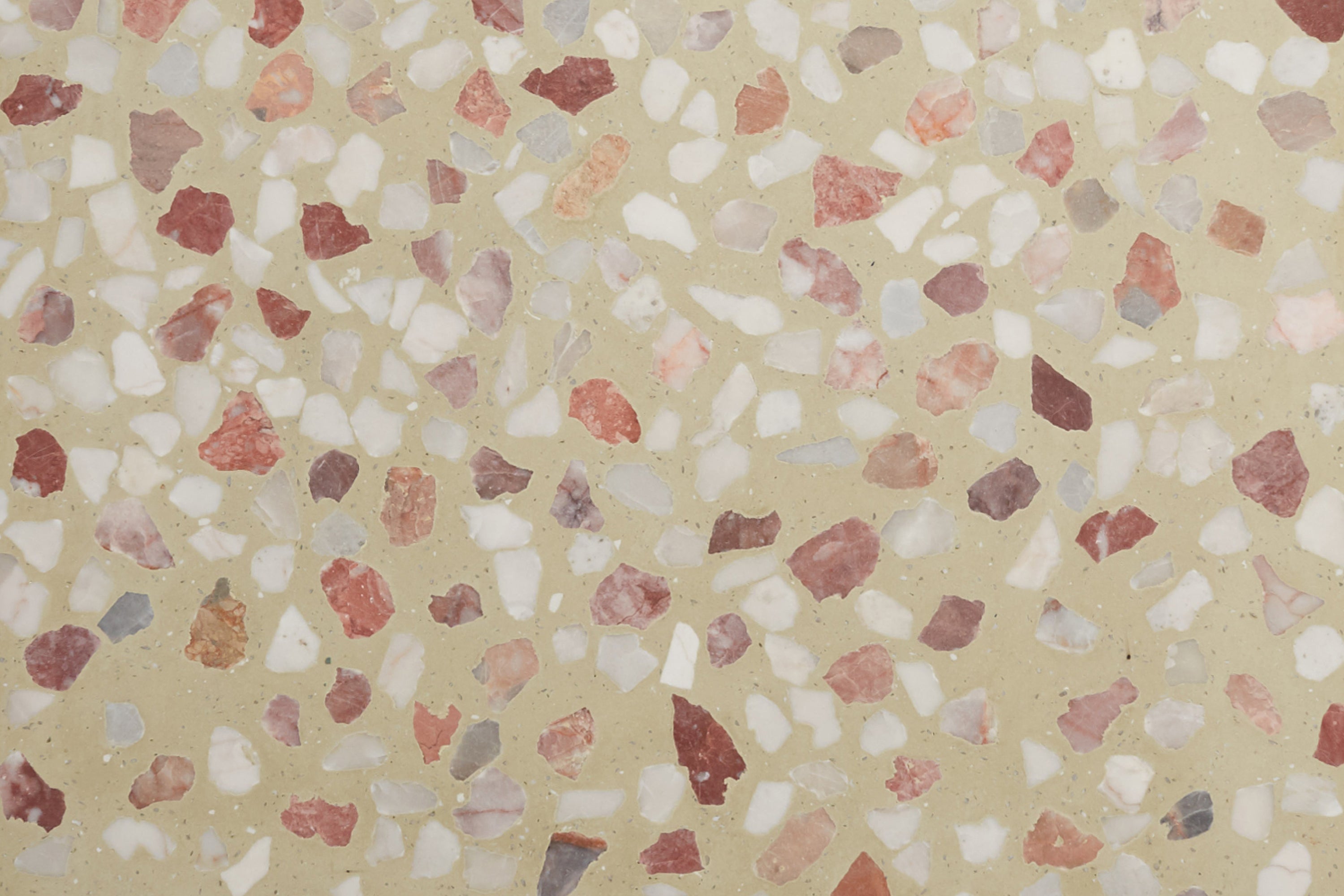 cement tile | dolce terrazzo | cinema collection | clé tile