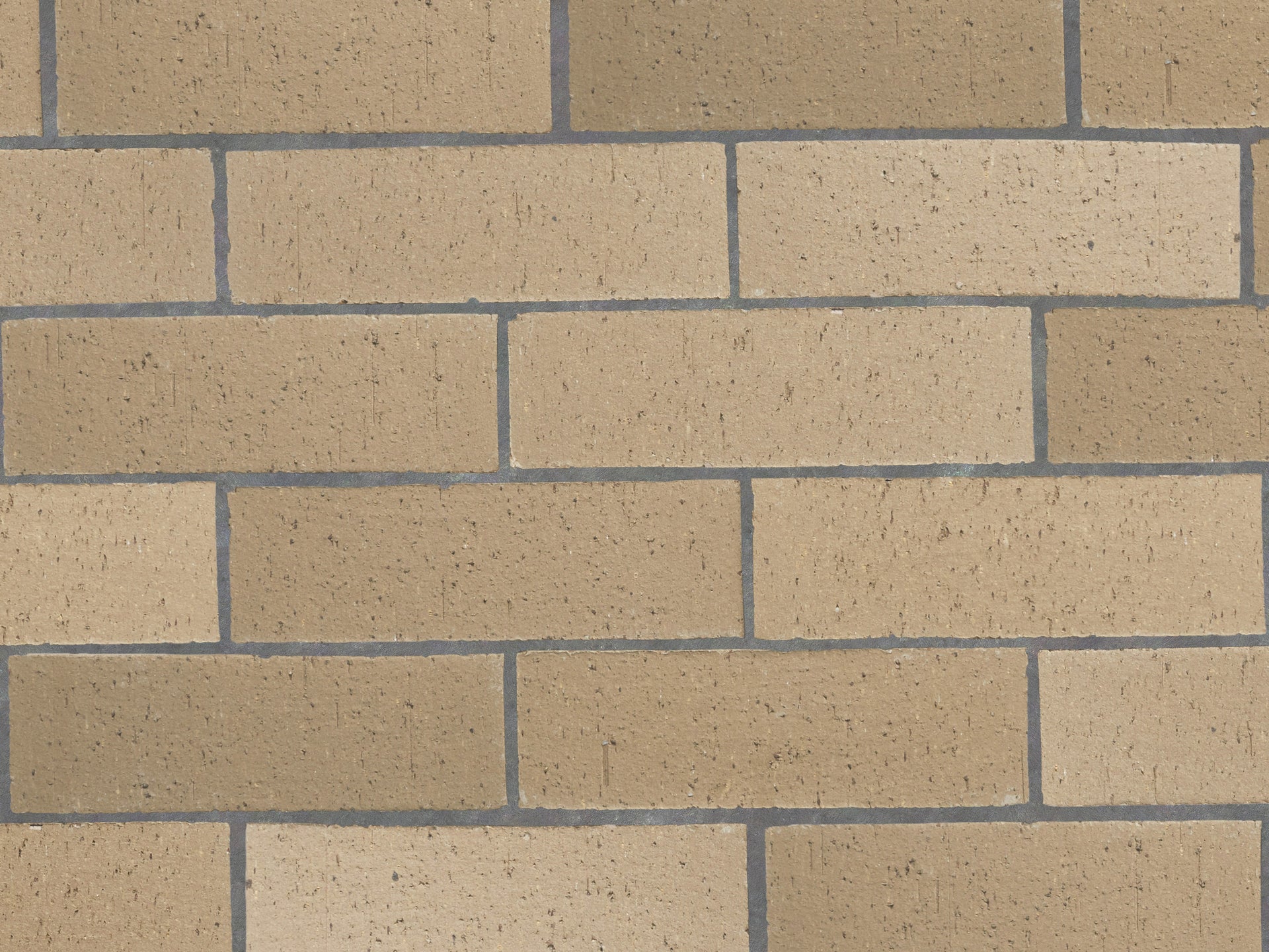 sinter | standard issue | foundry flats | clé tile